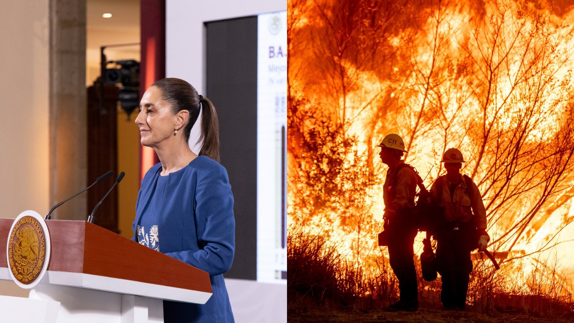 México Mandará Ayuda por Incendios en Los Angeles; Así Participará CONAFOR en Apoyo a Mexicanos | N+